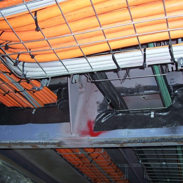 'Temporary Protection' 'TEMPORARY PROTECTION' 'temporary protection'